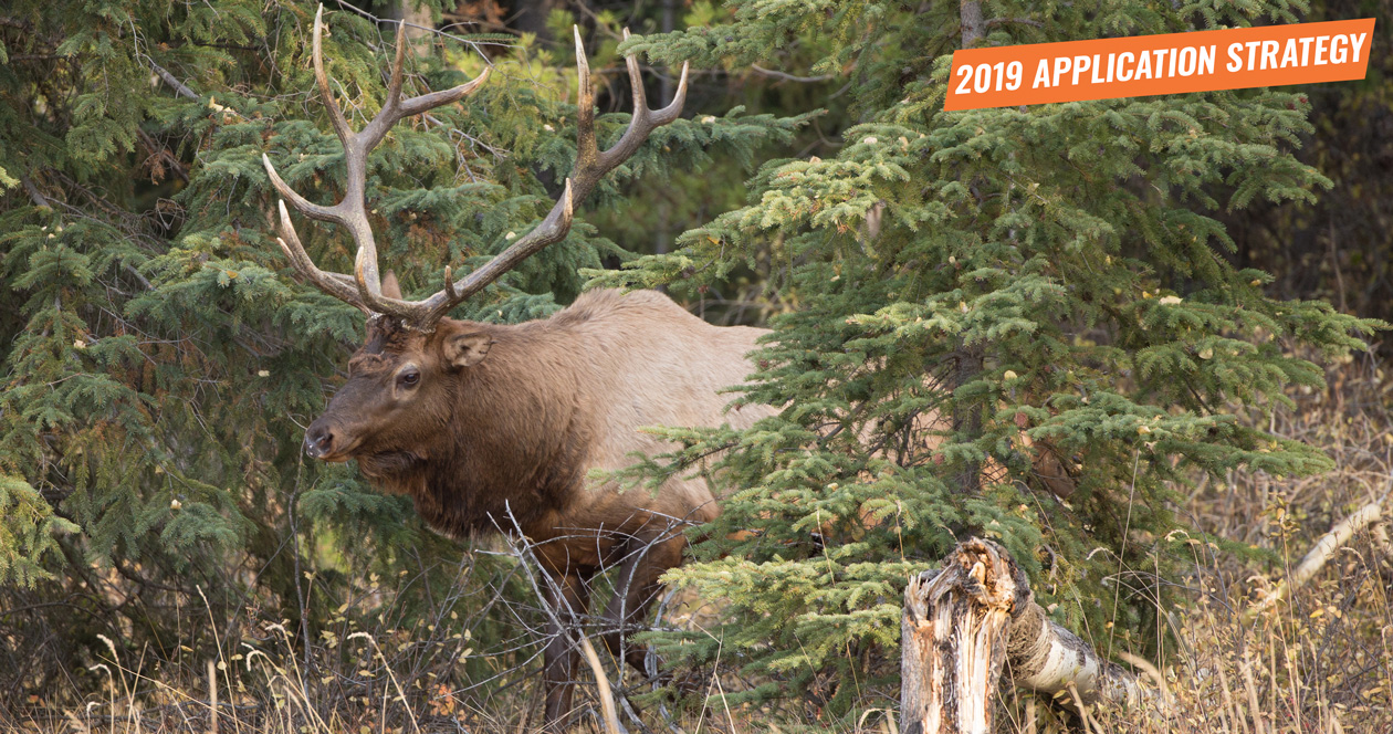 APPLICATION STRATEGY 2019: Colorado Elk and Antelope // GOHUNT. The Hunting Company