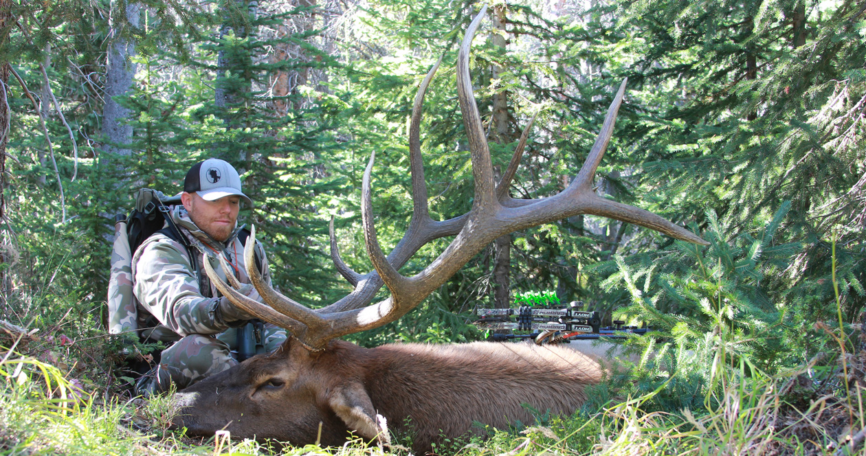 5 of the best early season elk hunting tactics before the rut // GOHUNT ...