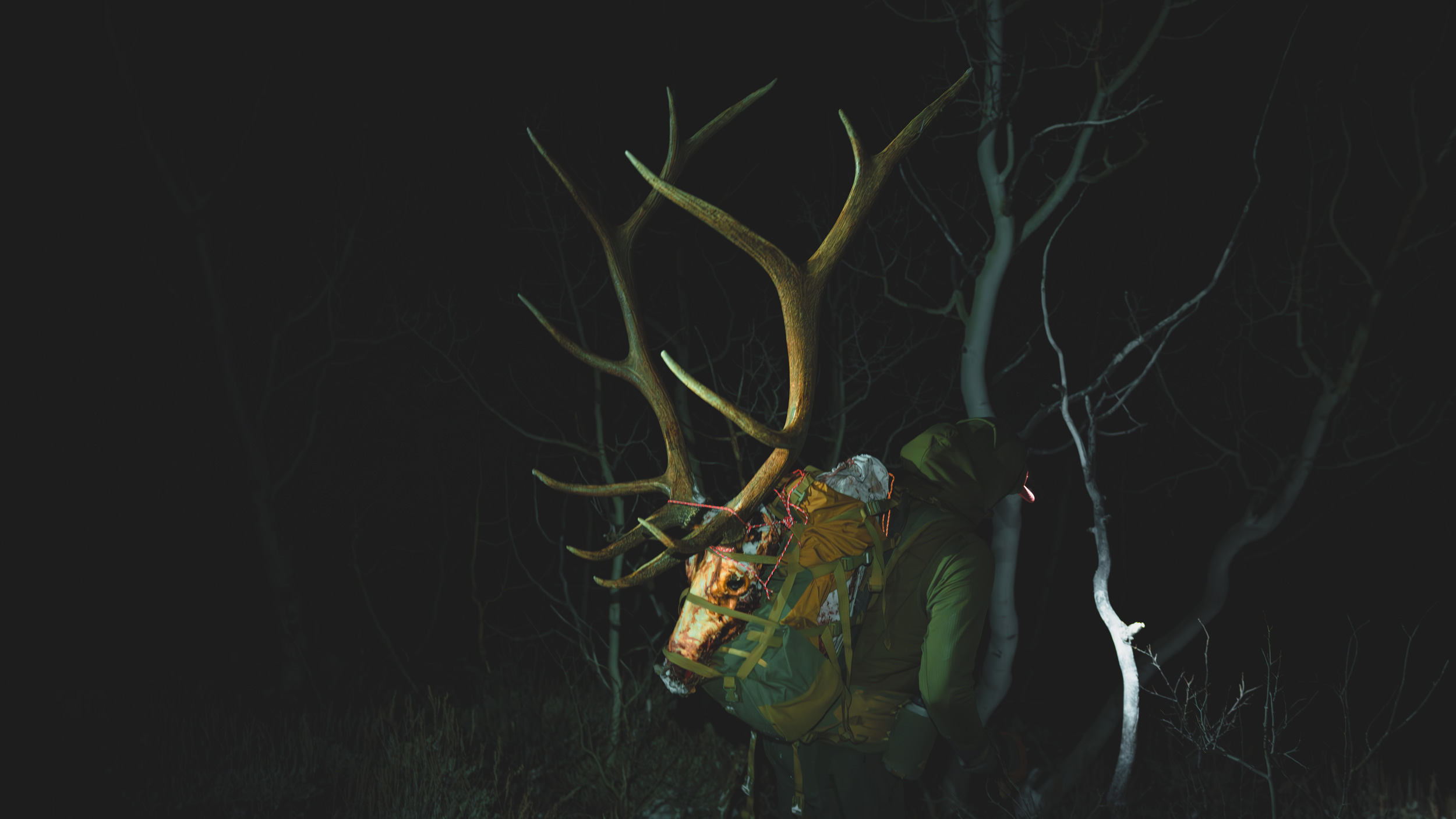 2026 Western Hunting Application Dates, Draw Deadlines And Important ...