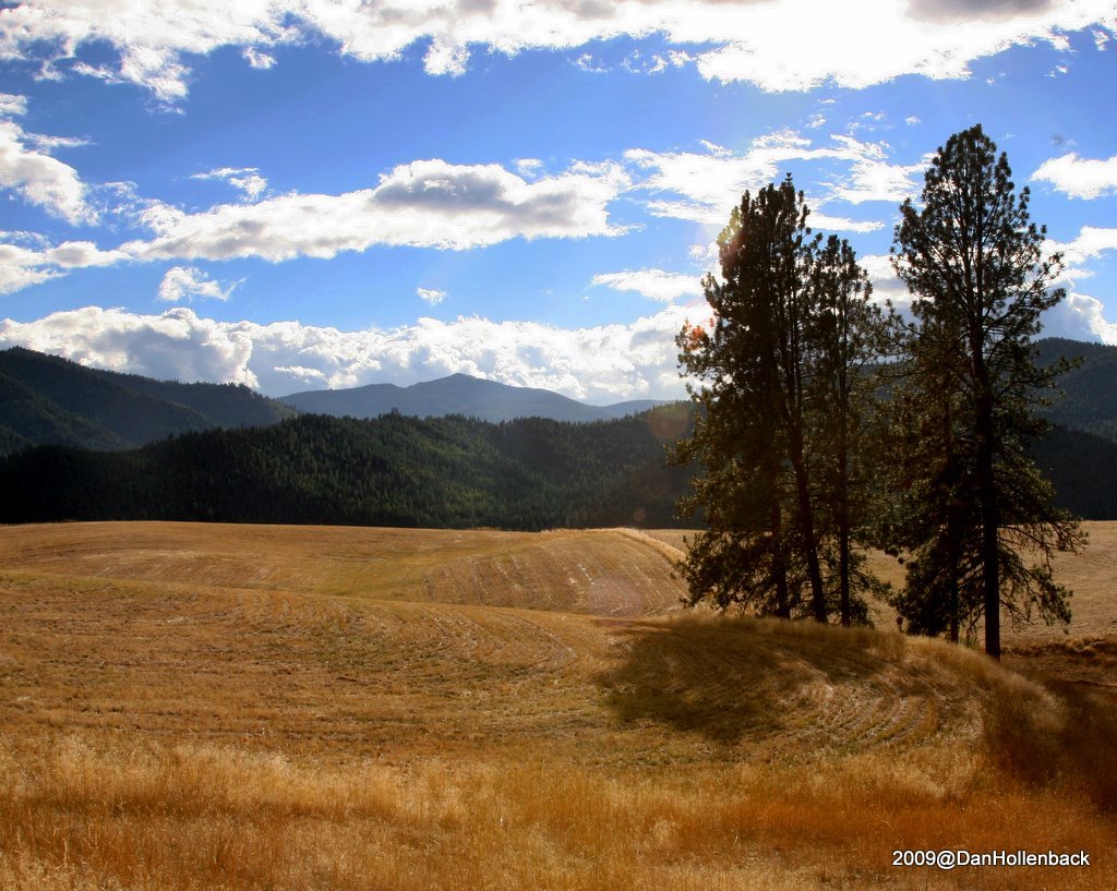 Montana Hunt District 201 Unit Profile - 11 Hunters are talking about ...