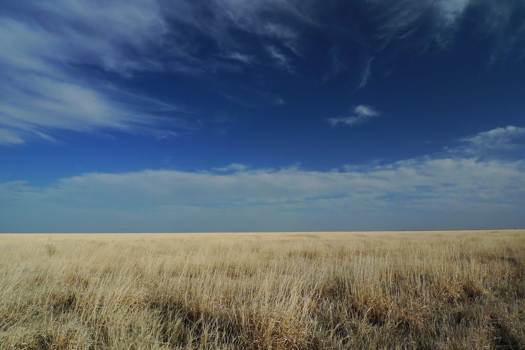 Colorado Unit 132 Unit Profile // GOHUNT. The Hunting Company