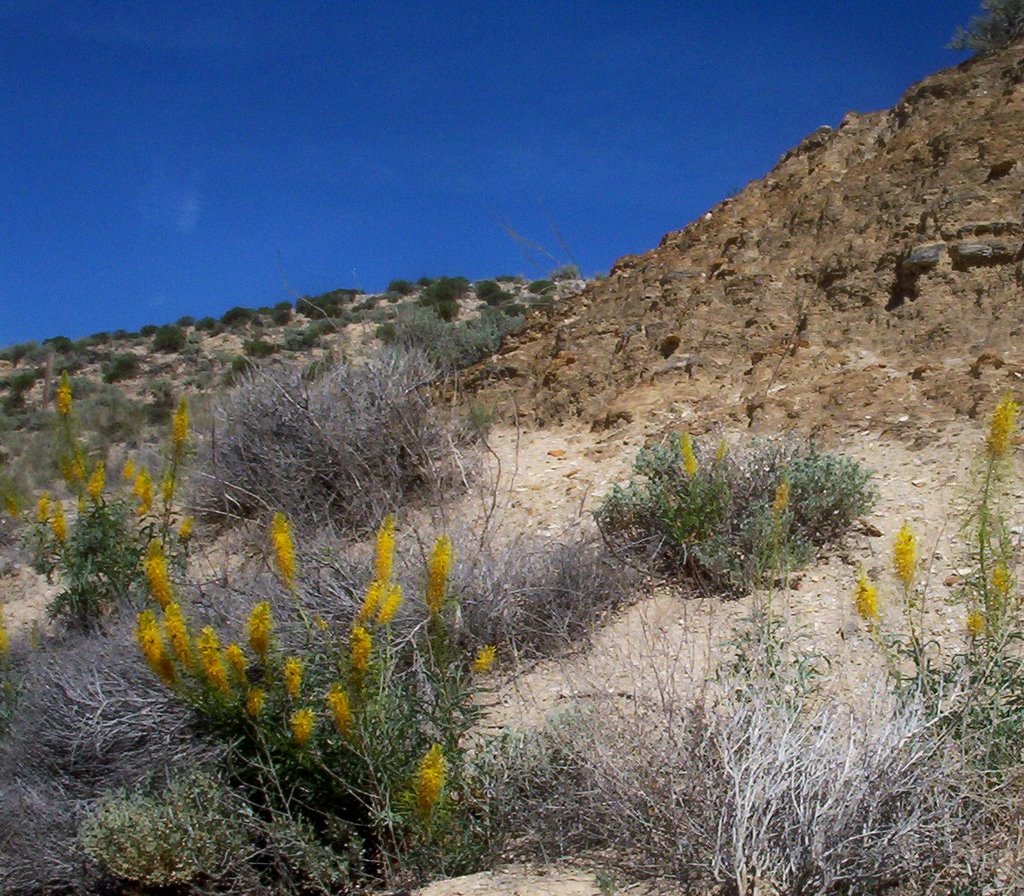 Colorado Unit S49 Unit Profile // GOHUNT. The Hunting Company