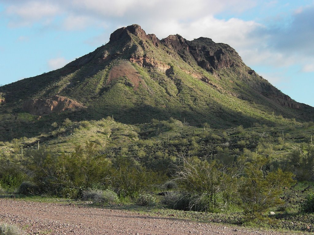 Arizona Unit 41 Unit Profile // GOHUNT. The Hunting Company