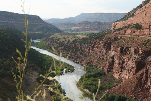 Colorado Unit 60 Unit Profile // GOHUNT. The Hunting Company