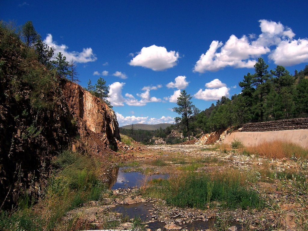 Arizona Unit 19A Unit Profile // GOHUNT. The Hunting Company