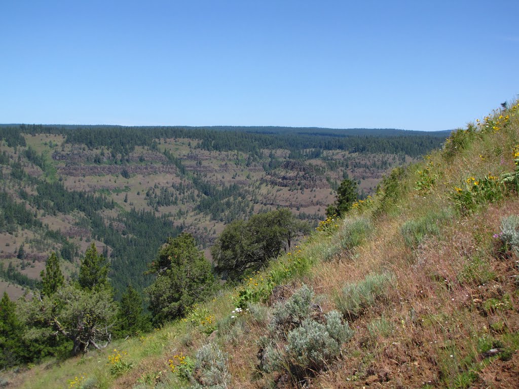 Oregon Unit 48 - Heppner Unit Profile // GOHUNT. The Hunting Company