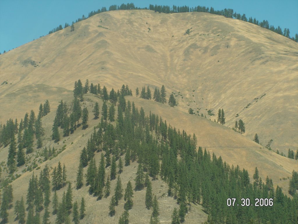 Montana Hunt District 202 Unit Profile // GOHUNT. The Hunting Company