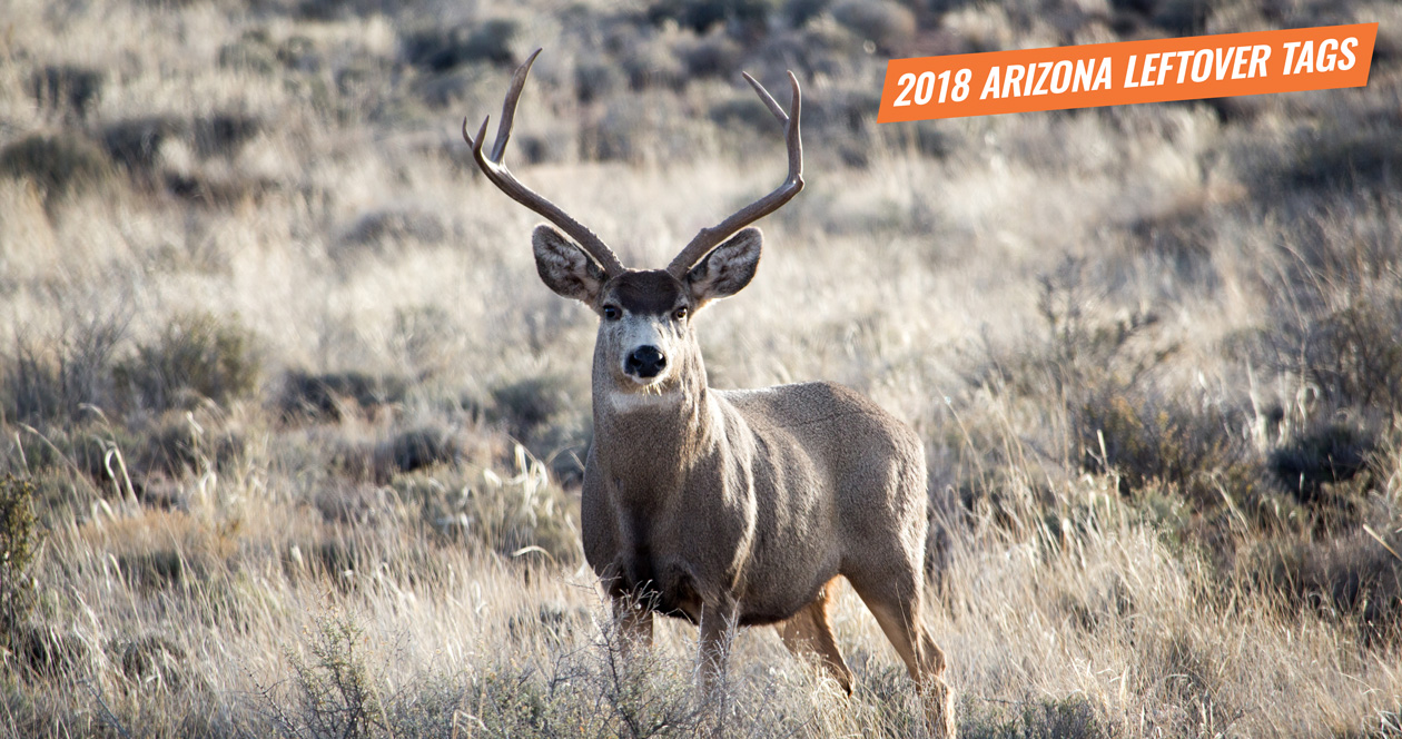 2018 Arizona leftover hunting permit list // GOHUNT. The Hunting Company