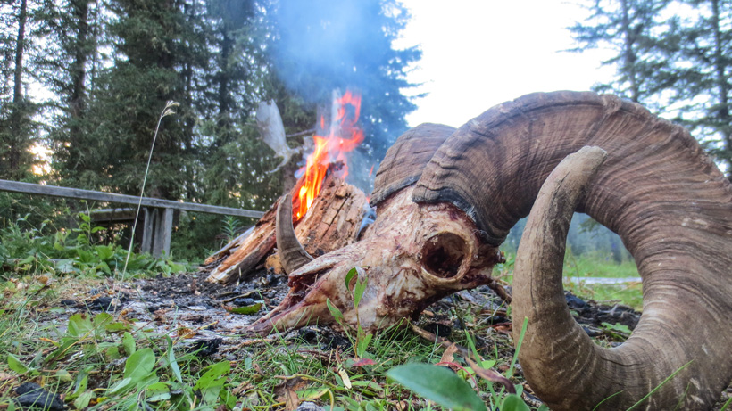 Gear breakdown for a successful sheep hunt // GOHUNT. The Hunting Company