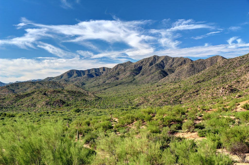 Arizona Unit 24A Unit Profile - 32 Hunters are talking about this Unit ...