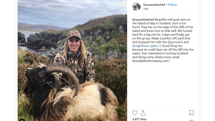 Pro hunter Larysa Switlyk under fire for legally killing wild goat ...