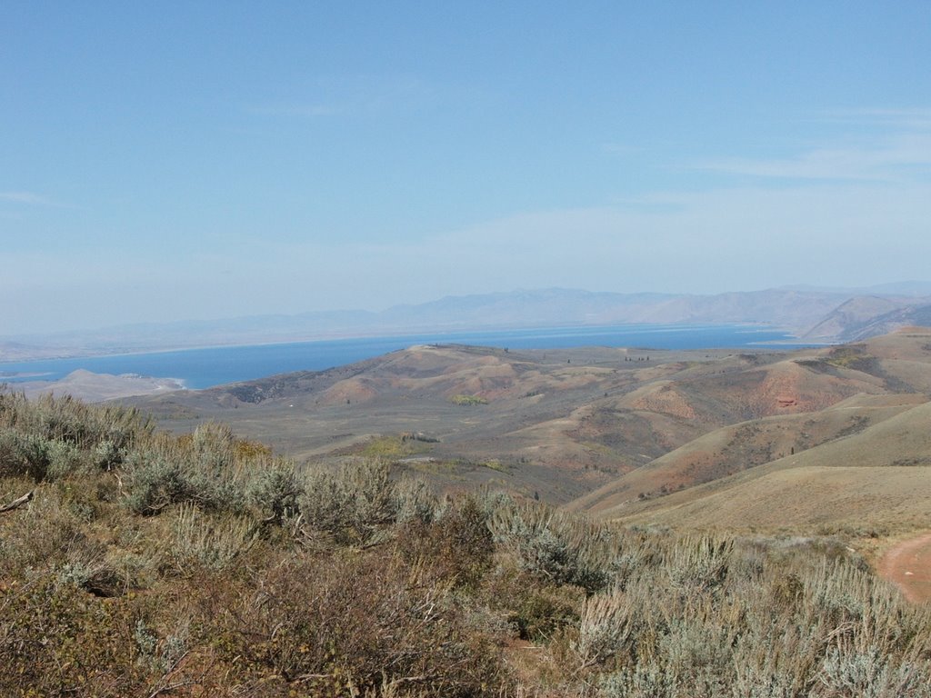 Utah Cache, East Rich Unit Profile // GOHUNT. The Hunting Company