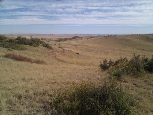 Colorado Unit 9 Unit Profile // GOHUNT. The Hunting Company