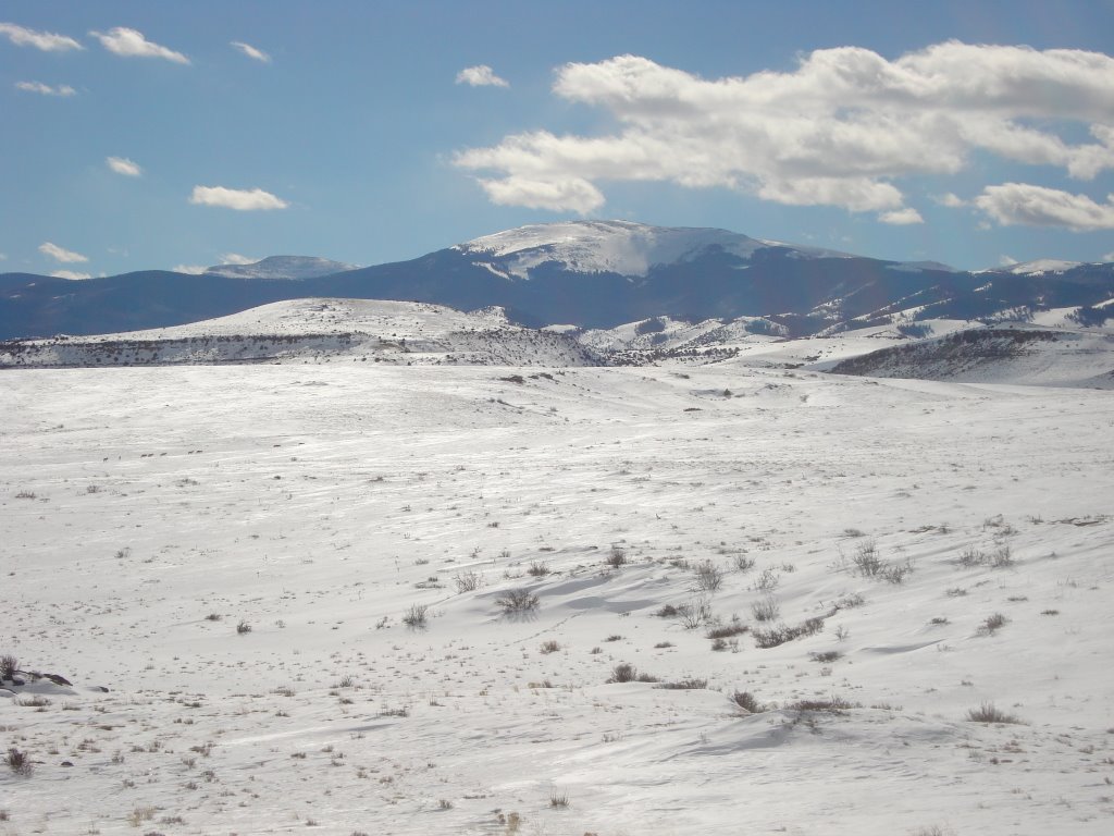 Colorado Unit S29 Unit Profile // GOHUNT. The Hunting Company