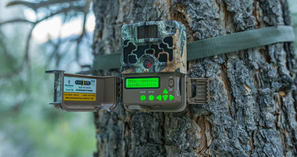 Breakthroughs in trail camera technology and why you need one // GOHUNT ...