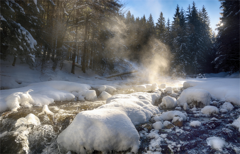 Heavy snow impacts Colorado wildlife // GOHUNT. The Hunting Company