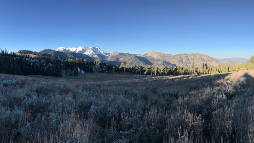 A hunt to remember // GOHUNT. The Hunting Company