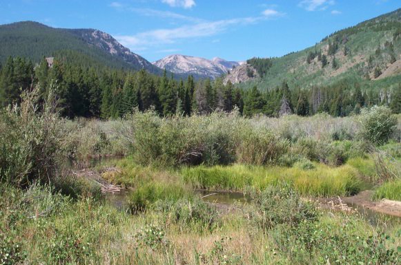 Colorado Unit S18 Unit Profile // GOHUNT. The Hunting Company