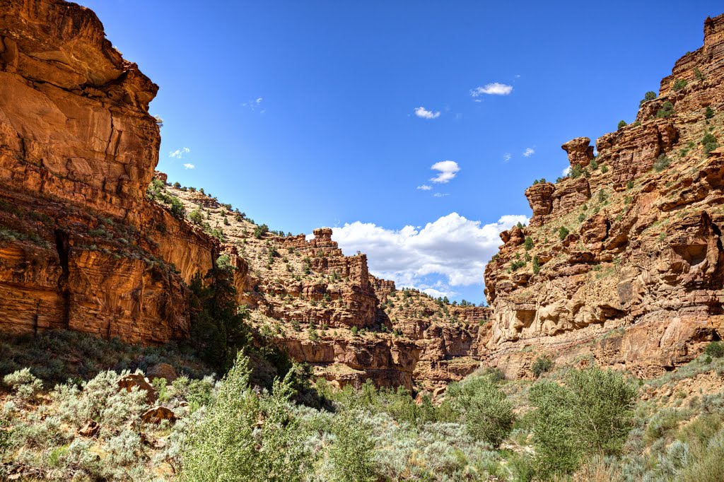 Utah Nine Mile, Range Creek Unit Profile // GOHUNT. The Hunting Company