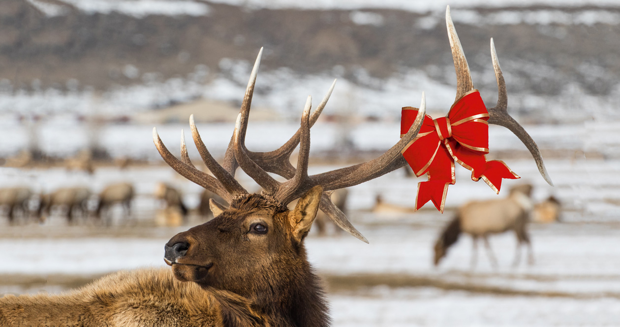Holiday gift ideas for the western hunter // GOHUNT. The Hunting Company
