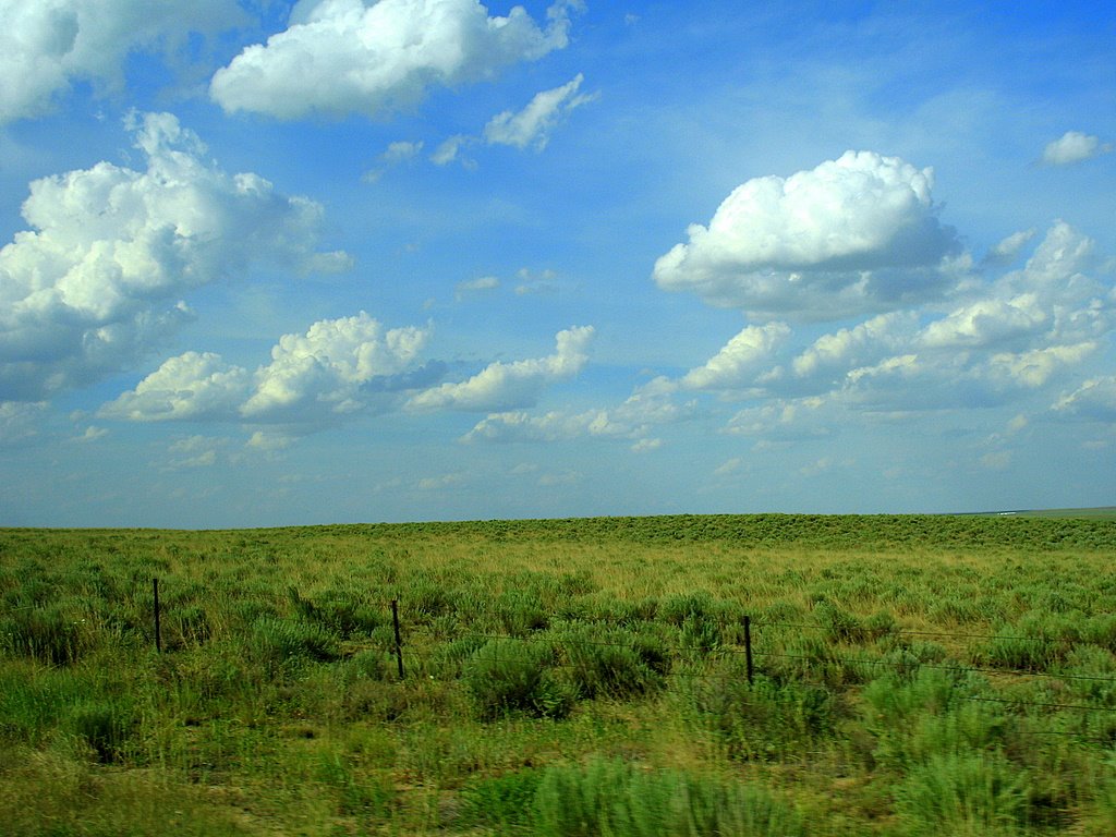 Colorado Unit 126 Unit Profile // GOHUNT. The Hunting Company