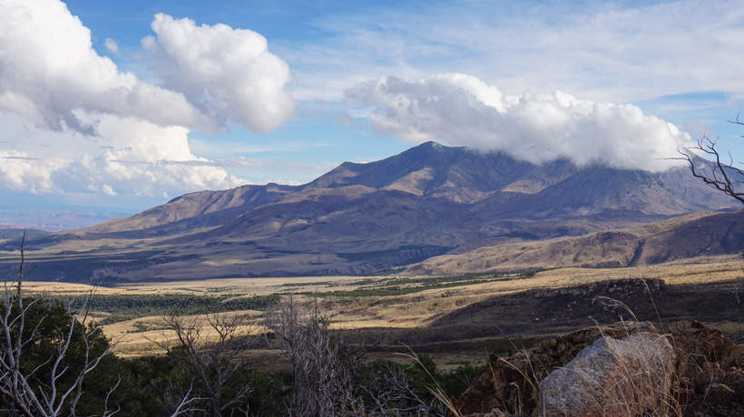 Unit focus: What makes the Henry Mountain mule deer so famous ...