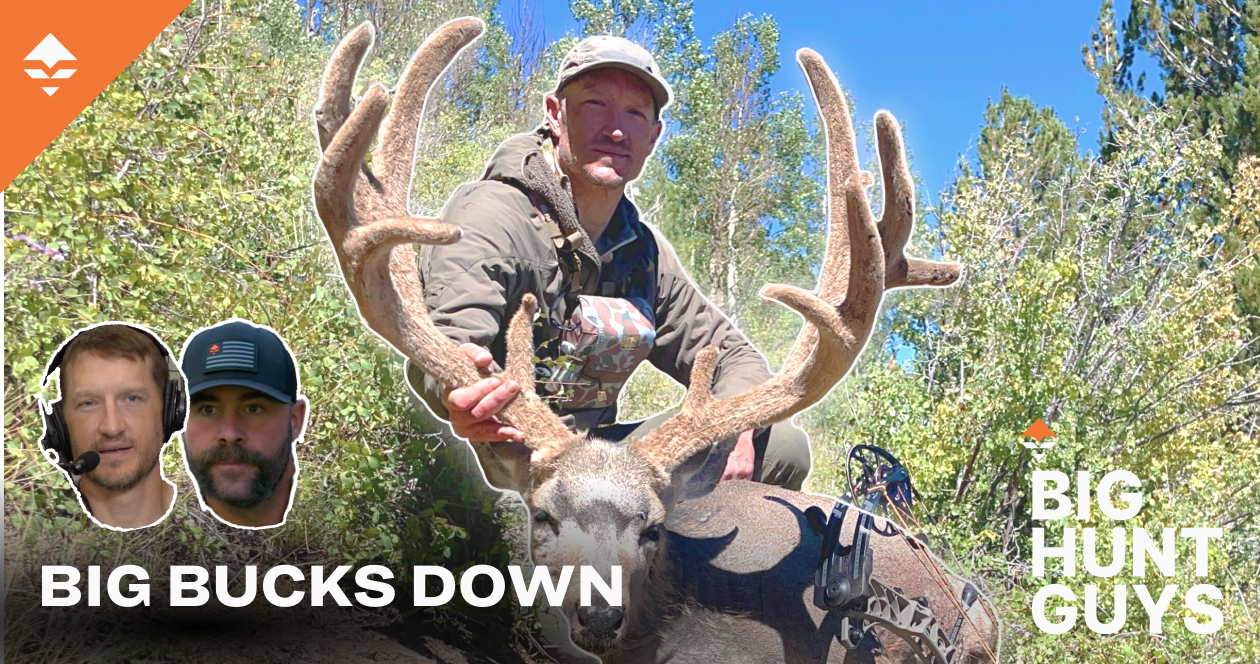 Big Bucks Down — BIG HUNT GUYS Podcast - Ep. 87 // GOHUNT. The Hunting ...