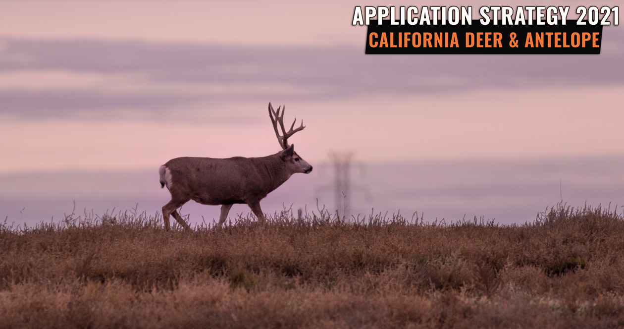 APPLICATION STRATEGY 2021: California Deer and Antelope // GOHUNT. The Hunting Company