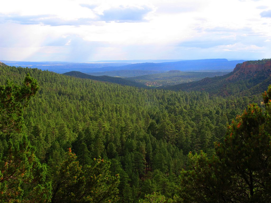 New Mexico Unit 6A Unit Profile // GOHUNT. The Hunting Company