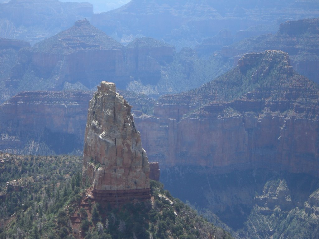 Arizona Unit 7W Unit Profile // GOHUNT. The Hunting Company