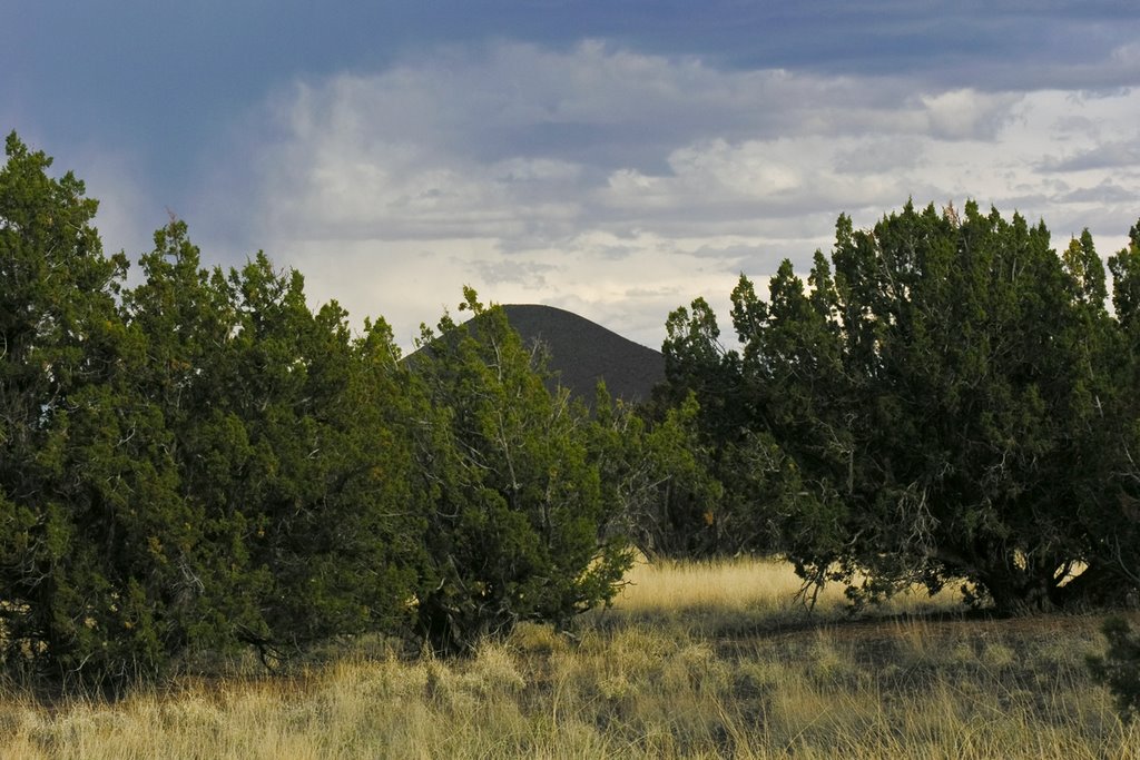 Arizona Unit 7E Unit Profile // GOHUNT. The Hunting Company