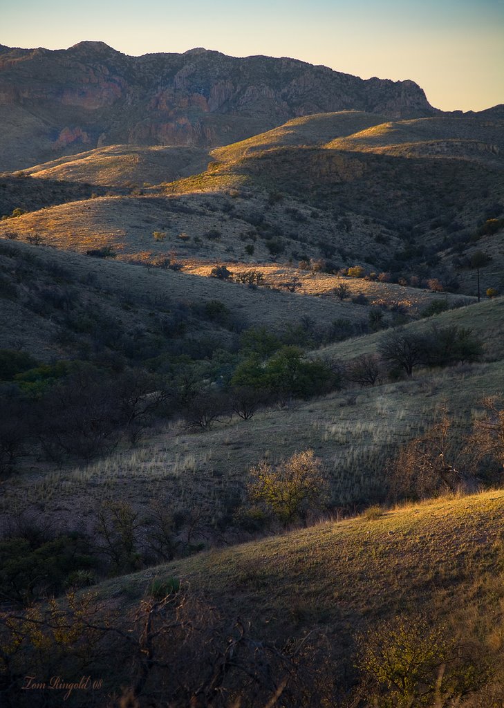 Arizona Unit 36B Unit Profile // GOHUNT. The Hunting Company