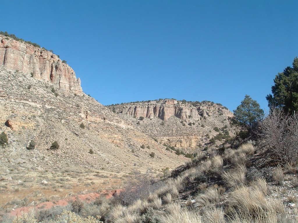 Arizona Unit 12B Unit Profile // GOHUNT. The Hunting Company