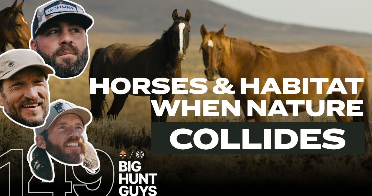 Free to Roam, But at What Cost? The Ecological Toll of Feral Horses ...