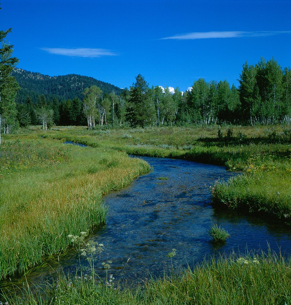 Idaho Unit 60 Unit Profile // GOHUNT. The Hunting Company