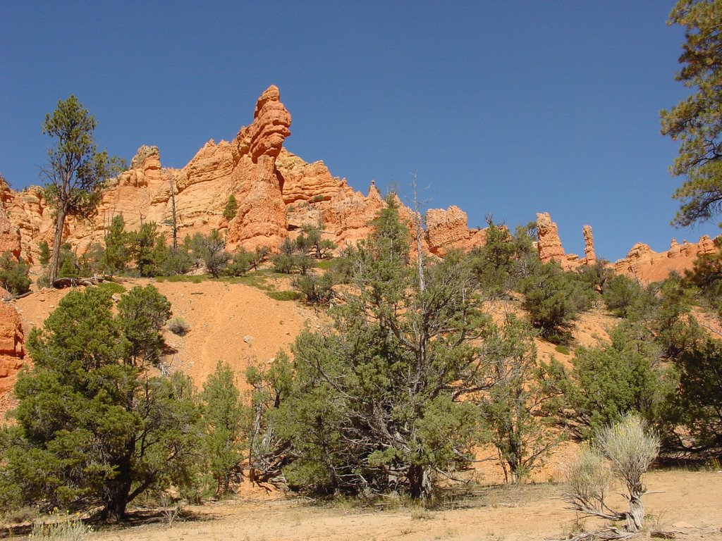 Utah Mt Dutton Unit Profile - 20 Hunters are talking about this Unit ...