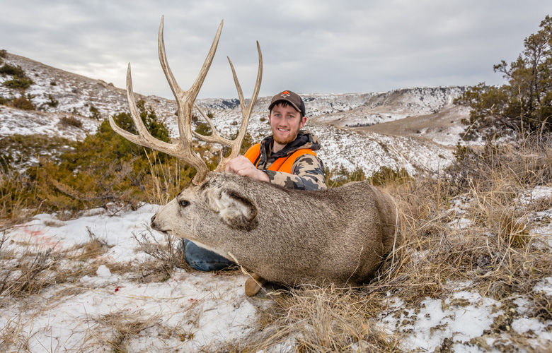 Here's how to research for a hunt you drew using INSIDER // GOHUNT. The ...