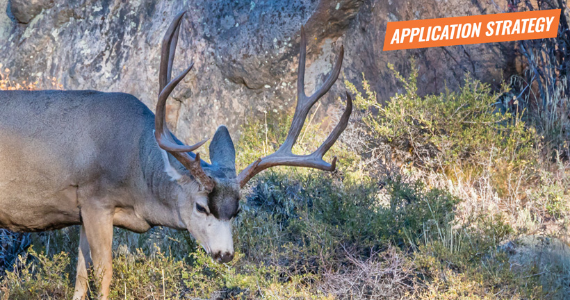 APPLICATION STRATEGY 2018: Colorado Mule Deer // GOHUNT. The Hunting ...