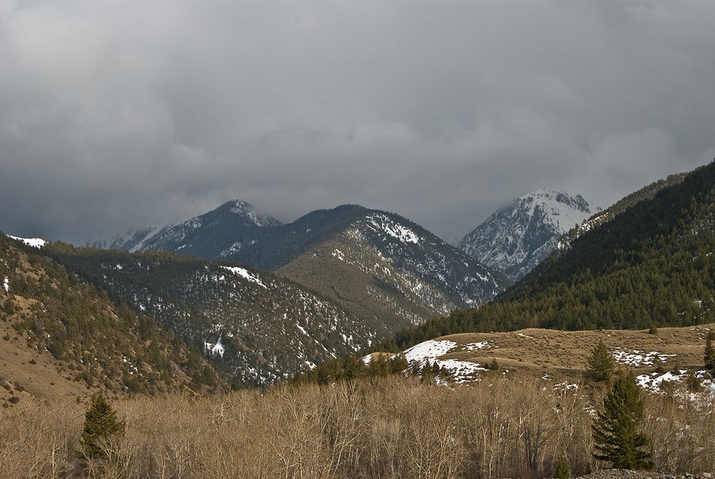 Montana Hunt District 317 Unit Profile - 6 Hunters are talking about ...