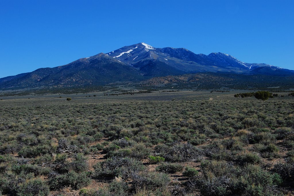 Nevada Unit 109 Unit Profile // GOHUNT. The Hunting Company