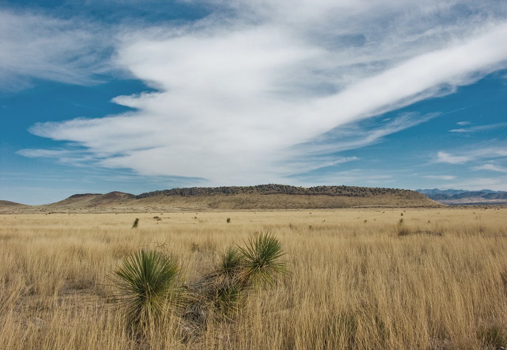 Arizona Unit 30A Unit Profile // GOHUNT. The Hunting Company