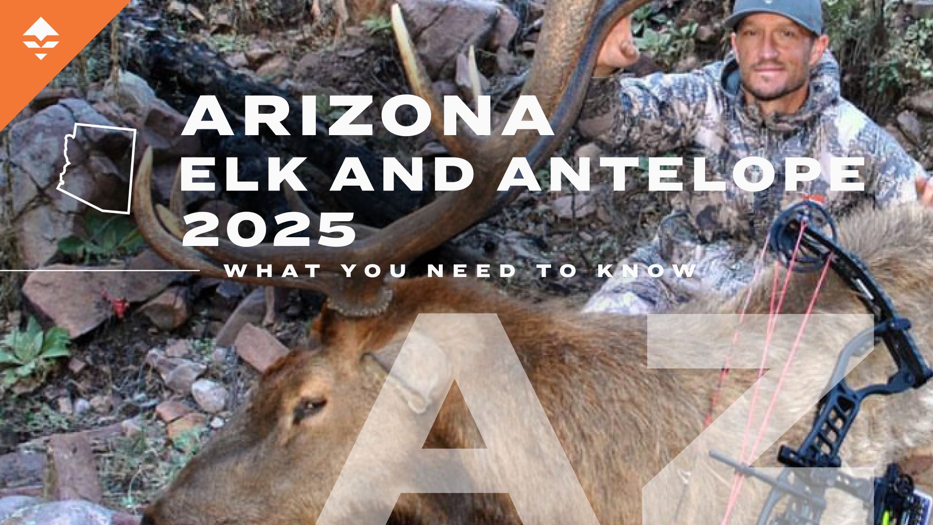 Arizona elk and antelope hunting application tips that will change your ...