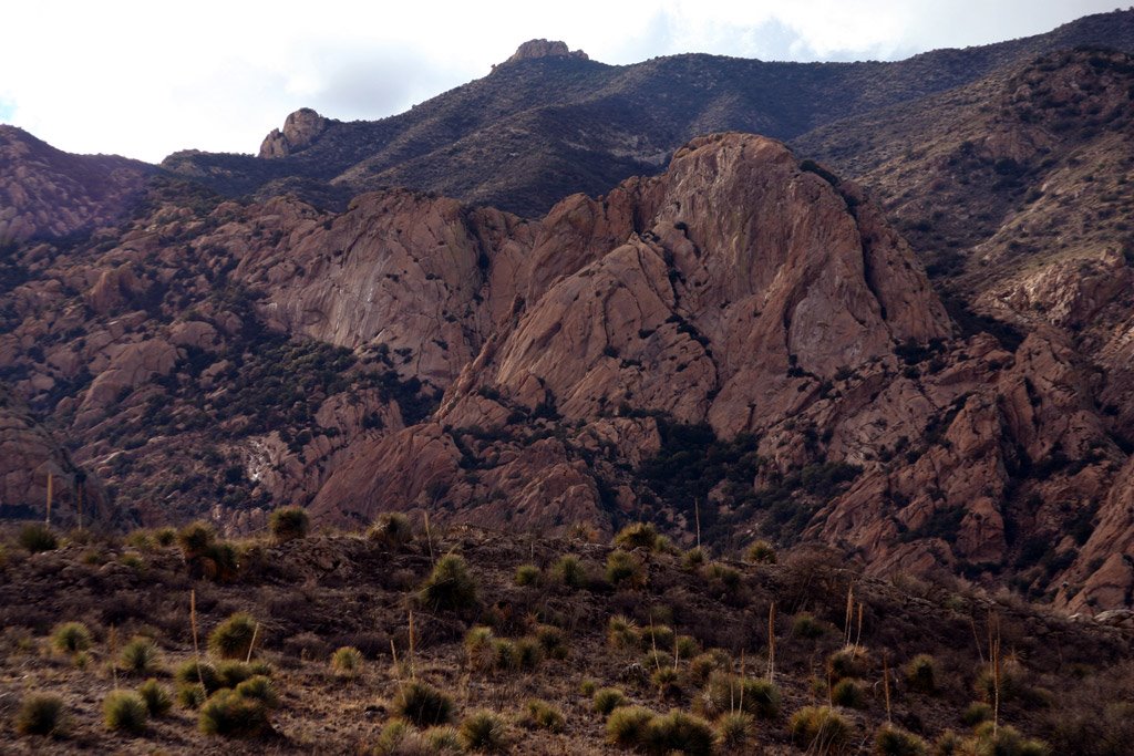 Arizona Unit 30B Unit Profile // GOHUNT. The Hunting Company