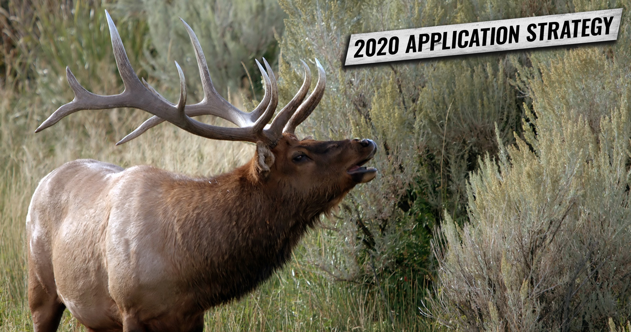 APPLICATION STRATEGY 2020: Nevada Elk and Antelope // GOHUNT. The Hunting Company