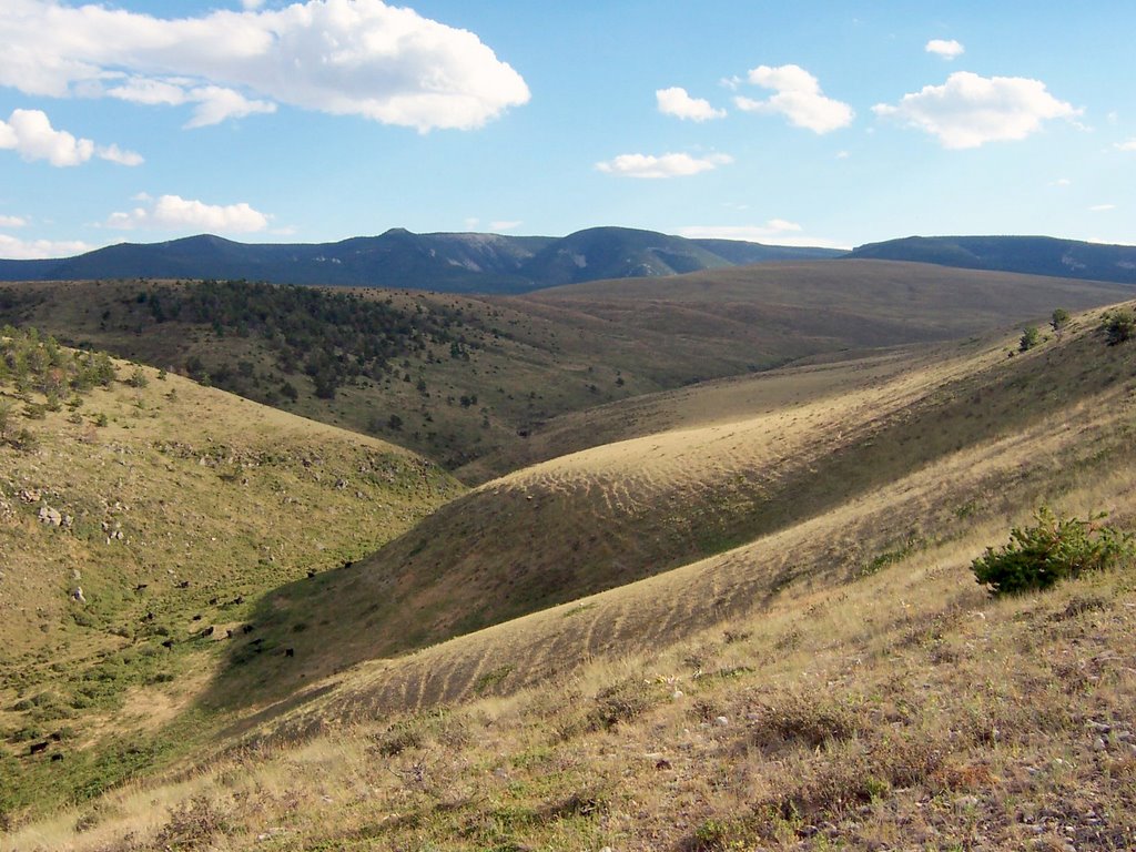 Montana Hunt District 430 Unit Profile - 2 Hunters are talking about ...