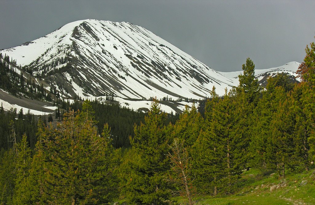 Idaho Unit 29 Unit Profile // GOHUNT. The Hunting Company