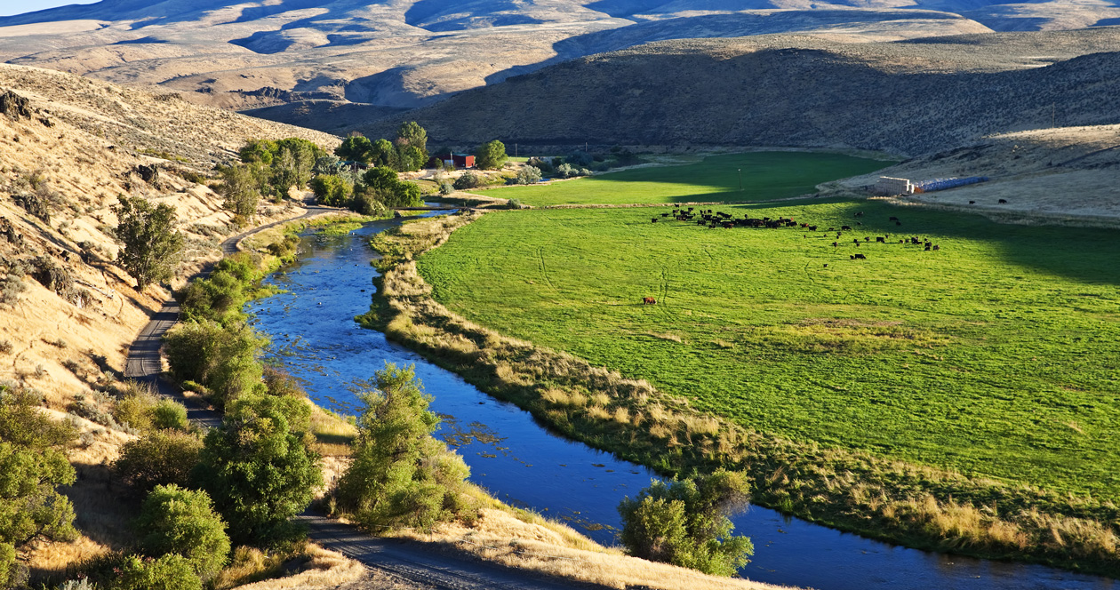 Mammoth bones discovered on Montana rancher’s land // GOHUNT. The ...