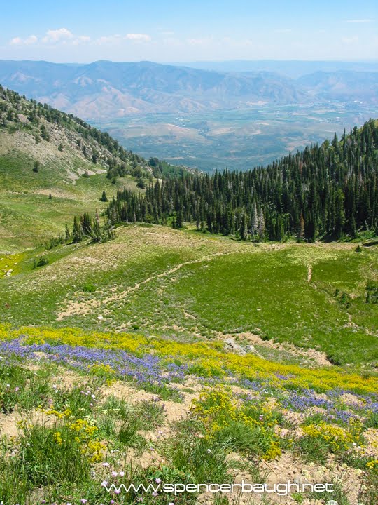Utah East Canyon Unit Profile // GOHUNT. The Hunting Company