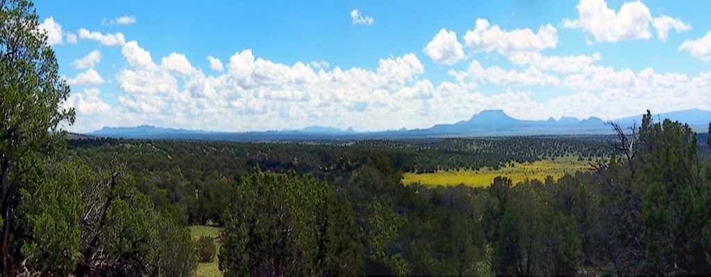 New Mexico Unit 12 Unit Profile // GOHUNT. The Hunting Company