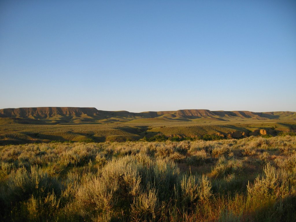 Montana Hunt District 556 Unit Profile - 3 Hunters are talking about ...
